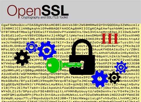Openssl Verify Certificate Sheryvehicle