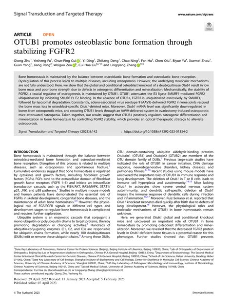 Pdf Otub1 Promotes Osteoblastic Bone Formation Through Stabilizing Fgfr2
