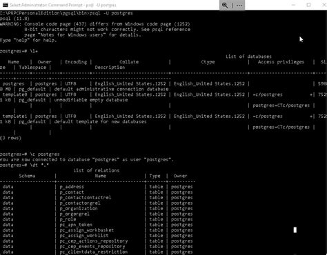 Personal Edition Pega Db Access Support Center