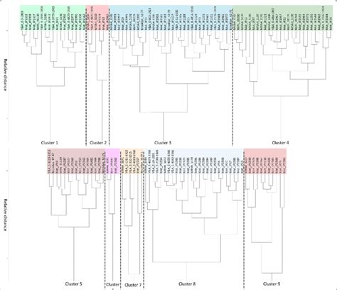 Hierarchical Cluster Analysis Hca Dendrogram Obtained For The Blue Download Scientific