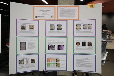 Discovery Of A Novel Antibiotic By Gianna Morrie