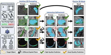Nninteractive A Breakthrough In Ai Driven 3d Interactive Segmentation
