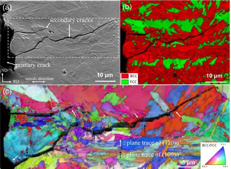 A SEM Image And B EBSD Phase Map Of The WQ T Sample After The Download Scientific Diagram