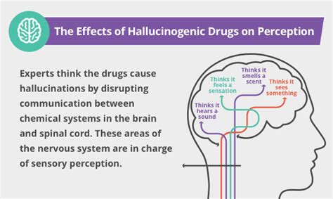 Hallucinogen Effects Short And Long Term Side Effects