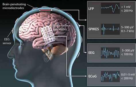 Brain Machine Interfaces Are Slowly Becoming A Reality And No Longer Sci Fi