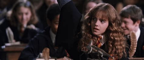 The Chameleon In Front Of Hermione In Harry Potter And The Chamber Of