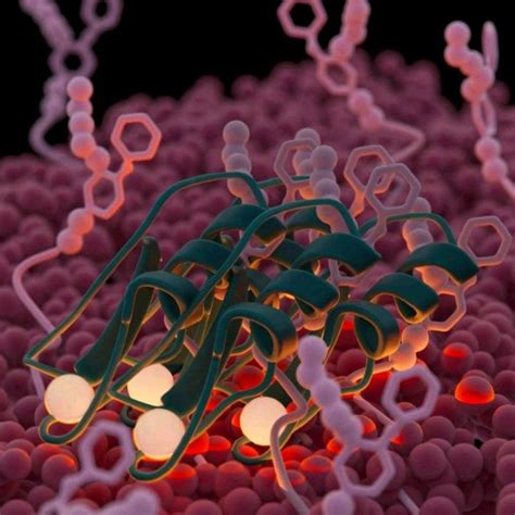Study Reveals How Antibiotic Velcro Kills Bacteria Plectasin A Tiny