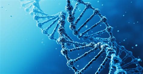 생존율 결정짓는 작은 유전자 조각 발견