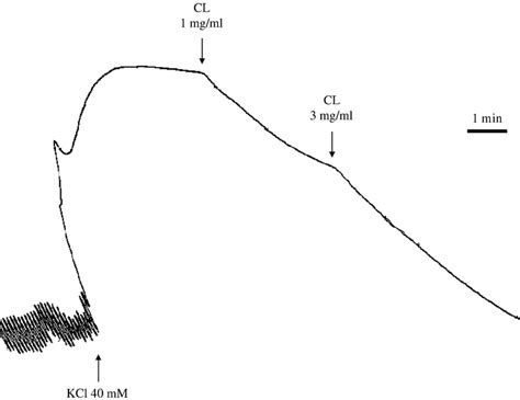 Effect Of The C Ladaniferus Cl Aqueous Extract On K Induced