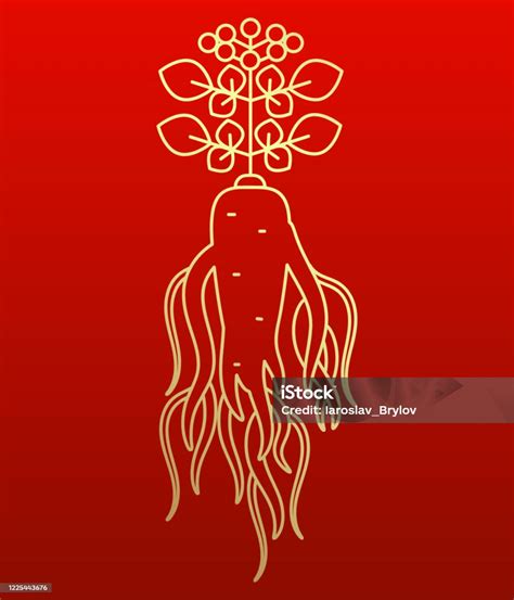 레드 한국어 또는 중국 인삼 루트 로고 빨간색 배경에 실루엣 스타일 기호입니다 황금 색 인삼 기호 중국 의학에 대 한 식품 차 패키지 벡터 한약에 대한 스톡 벡터 아트 및