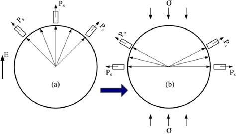 Two Dimensional Illustrations Of Domain Orientation Evolutions In Poled