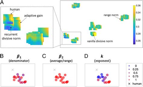 Embedding Space For Normalization Models Of Decoy Effects A The
