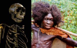 Story Of The Turkana Human And How He Died Dnb Stories Africa