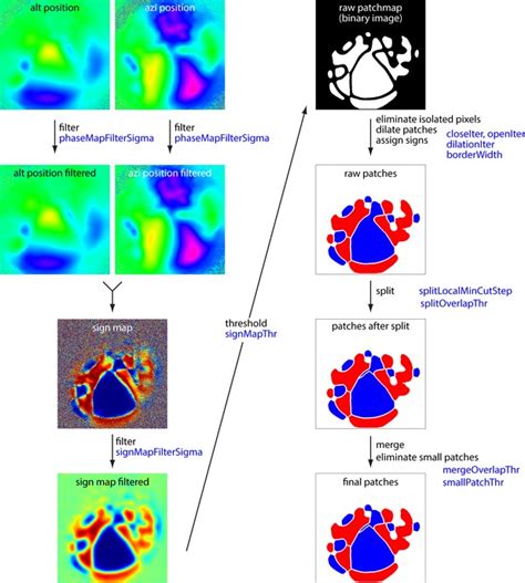 Figures And Data In An Extended Retinotopic Map Of Mouse Cortex Elife