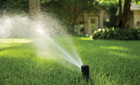 Lawn Sprinkler Head Spraying Water
