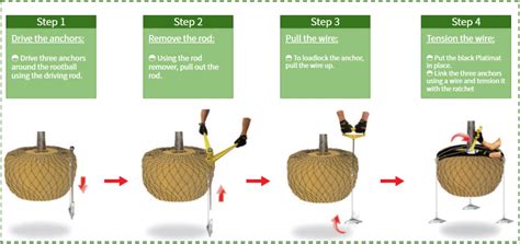 Tree Anchor Knot At Therese Arnold Blog