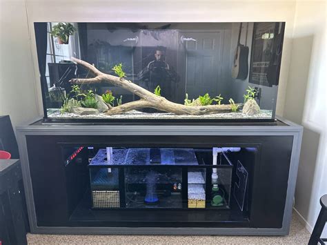 Maximizing Overflow Filtration General Chat Aquarium Co Op Forum