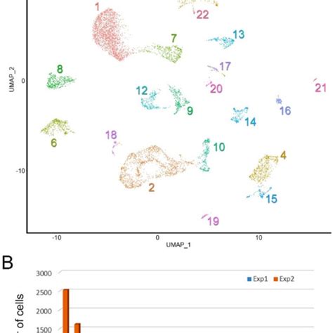 Unsupervised Clustering Of Single Cell Transcriptomes Obtained From Download Scientific Diagram