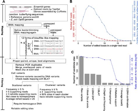 The Computational Pipeline For Identifying Rna Editing Sites In C Download Scientific Diagram