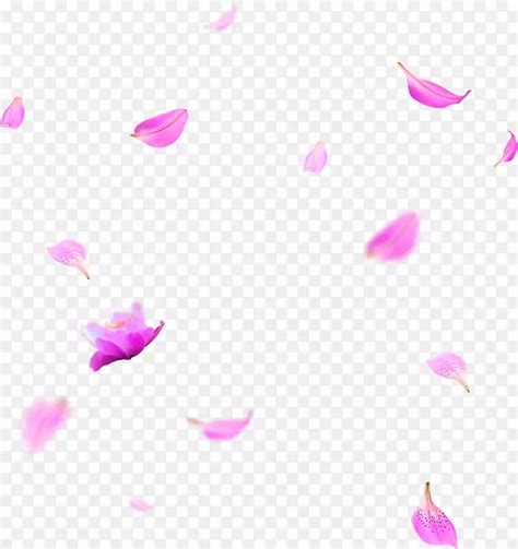 Png Png