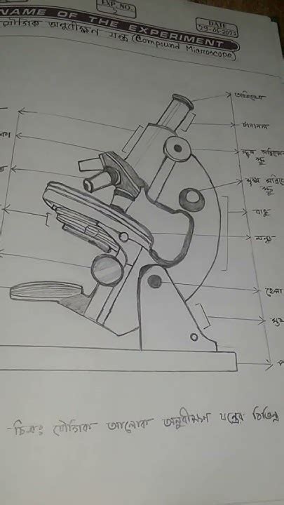 A Compound Microsope For Practical Youtube