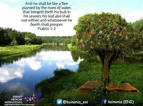 Psalms 13 Trees To Plant Plants Living Water