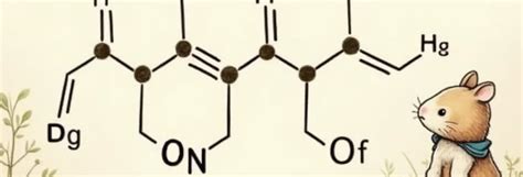 Carbonyl Compounds Formulas And Uses
