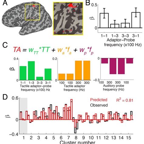Localizer Results A Group Results From Block Design Functional Download Scientific Diagram