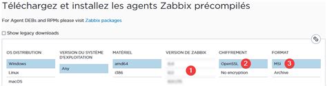 Installation Dun Agent Zabbix Sous Windows Pour Une Configuration