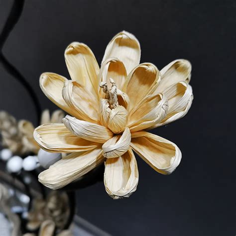 叶脉玉米皮装饰花落地长枝干枝仿真花假花创意摆件客厅橱窗隔断虎窝淘