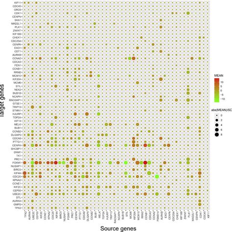 Example Format For The Clinical Transcriptomic Data Download Scientific Diagram
