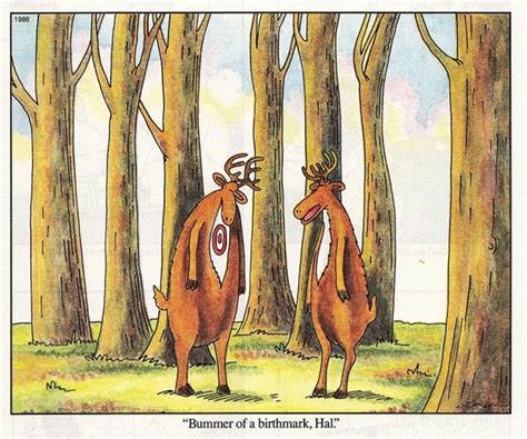 The Far Side Returns