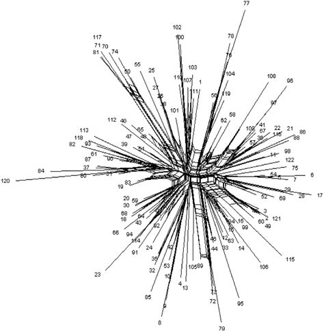Split Decomposition Analysis Showed A Bushy Network Neighbournet Graph