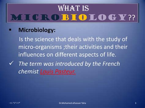 Solution Microorganisms Classification Studypool Solution Microorganisms Classification Studypool
