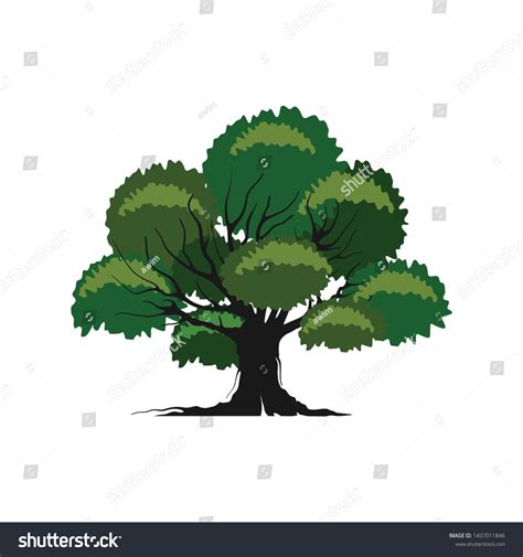 Oak Tree Roots Vector Isolated Stock Vector Royalty Free 1437011846 Shutterstock