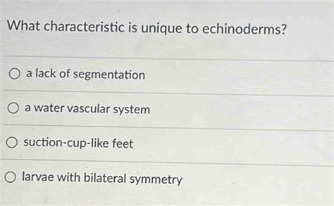 Solved What Characteristic Is Unique To Echinoderms A Lack Of Segmentation A Water Vascular