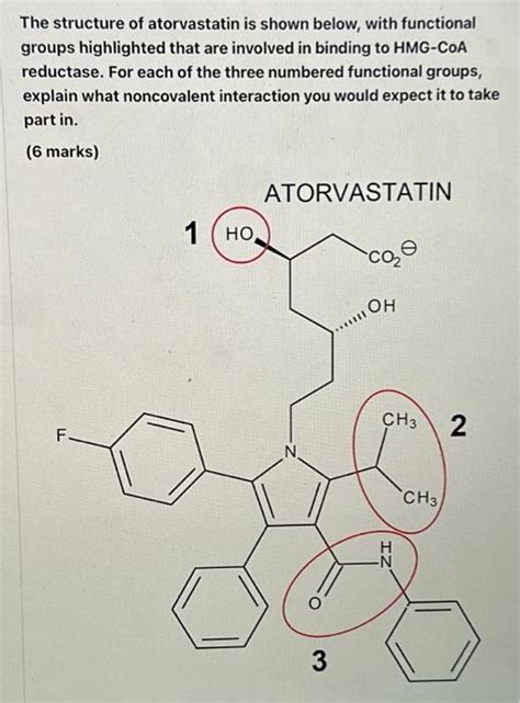 Solved The Structure Of Atorvastatin Is Shown Below With