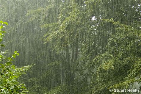Types Of Weather Phenomena National Oceanic And Atmospheric Administration