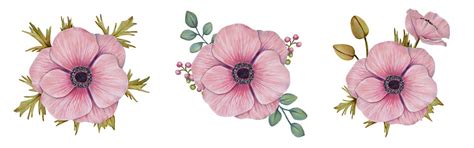 꽃 세트입니다 나뭇잎과 열매가 있는 아네모네 꽃 디자인 요소 인쇄 카드 청첩장 생일에 이상적입니다 개체 그룹에 대한 스톡 벡터 아트 및 기타 이미지 Istock