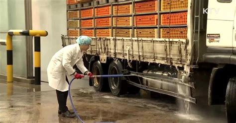 유통 닭·오리고기 안전도축장 현장을 가다