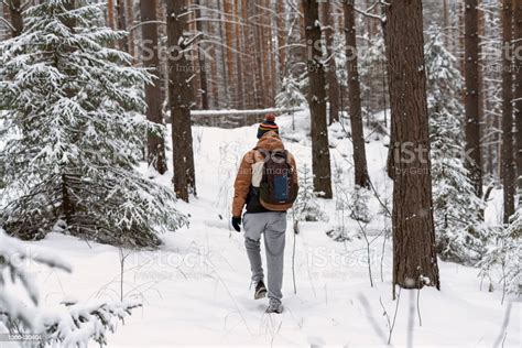 겨울에 눈 덮인 숲에서 걷는 배낭과 니트 모자를 쓴 젊은이의 뒷모습 눈 덮인 하이킹 40 44세에 대한 스톡 사진 및 기타 이미지 40 44세 건강한 생활방식 걷기