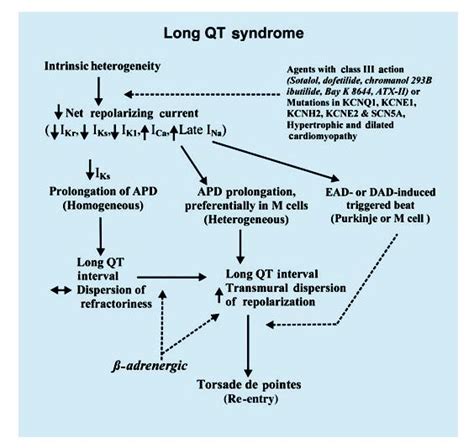 Amplification Of Spatial Dispersion Of Repolarization Underlies Sudden