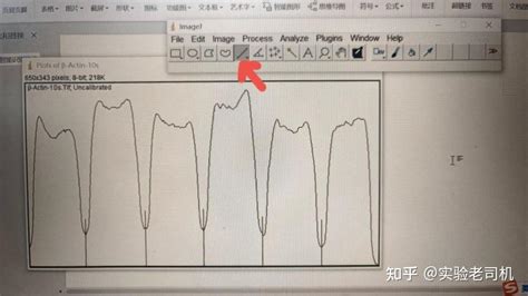 手把手教学——wb条带量化之imagej软件分析 知乎
