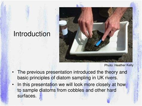 Ppt Sampling Diatoms From Running Waters 2 Sampling Cobbles Powerpoint Presentation Id 1065426