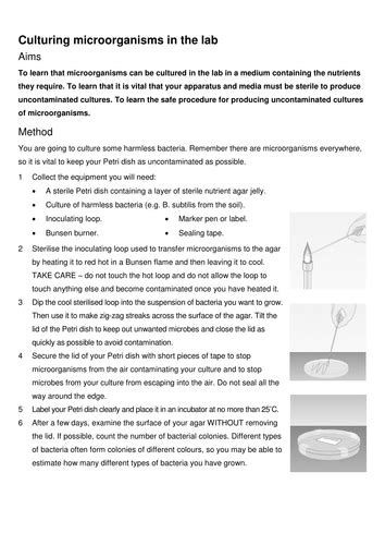 Aseptic Technique Teaching Resources