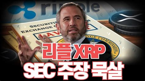 리플 Xrp Sec 주장 묵살 Youtube