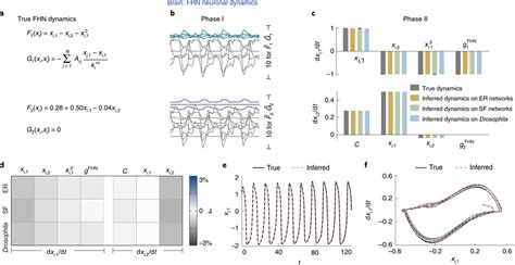 Inferring Fhn Neuronal Network Dynamics On Synthetic And Real Download Scientific Diagram