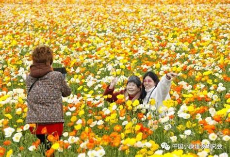 乡村振兴，既要“塑形”又要“铸魂” 知乎