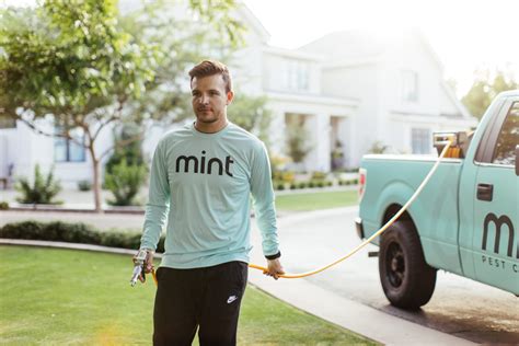 Local Termite Control Service And Inspection Company Mint Pest Control