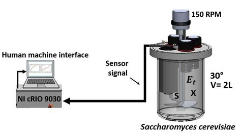 Scheme Of The Experimental Setup In Batch Operation Download Scientific Diagram